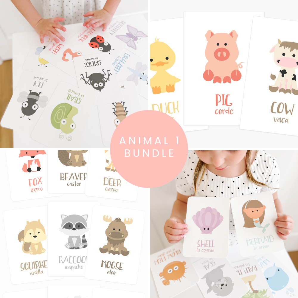Animal 1 Flashcards Bundle – Paiva Education