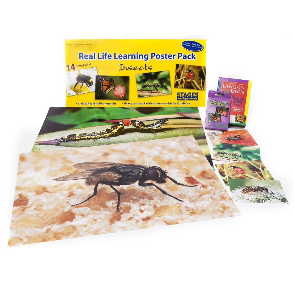Insects & Bugs Theme Kit – Paiva Education