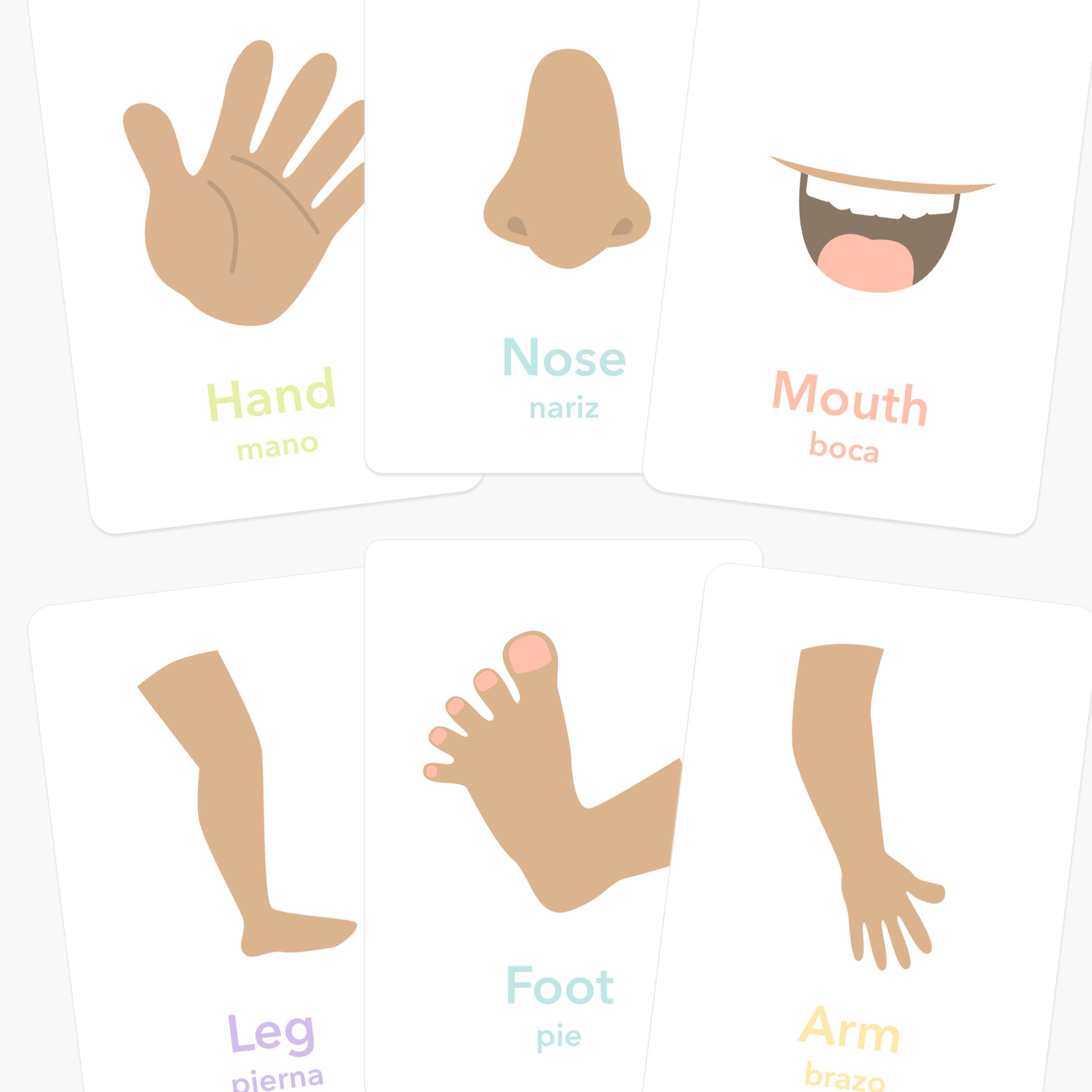 Body Parts Flashcards – Paiva Education